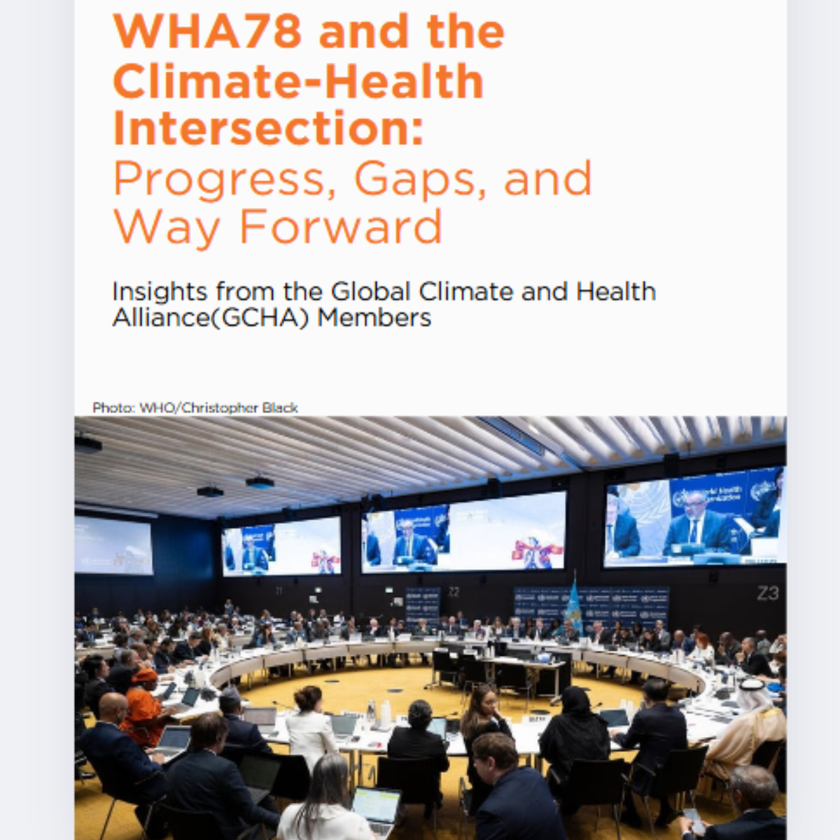 WHA78 and the Climate-Health Intersection: Progress, gaps and the way ...