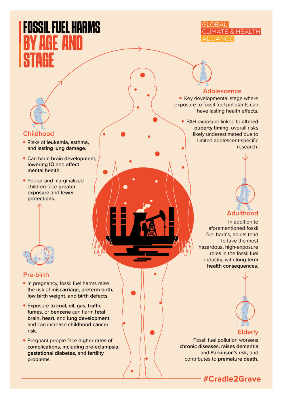 Cradle to Grave: The Health Toll of Fossil Fuels and the Imperative for ...